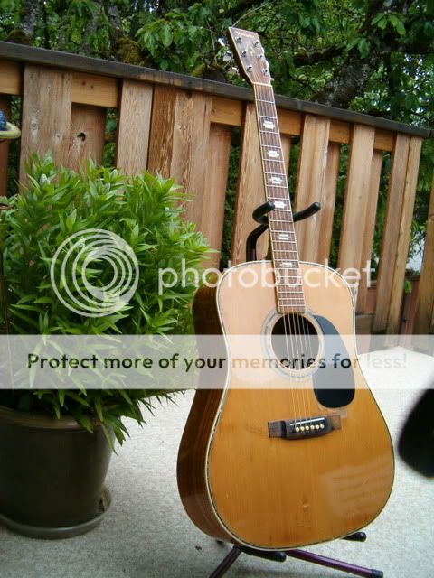 Yamaki acoustic guitar | The Canadian Guitar Forum